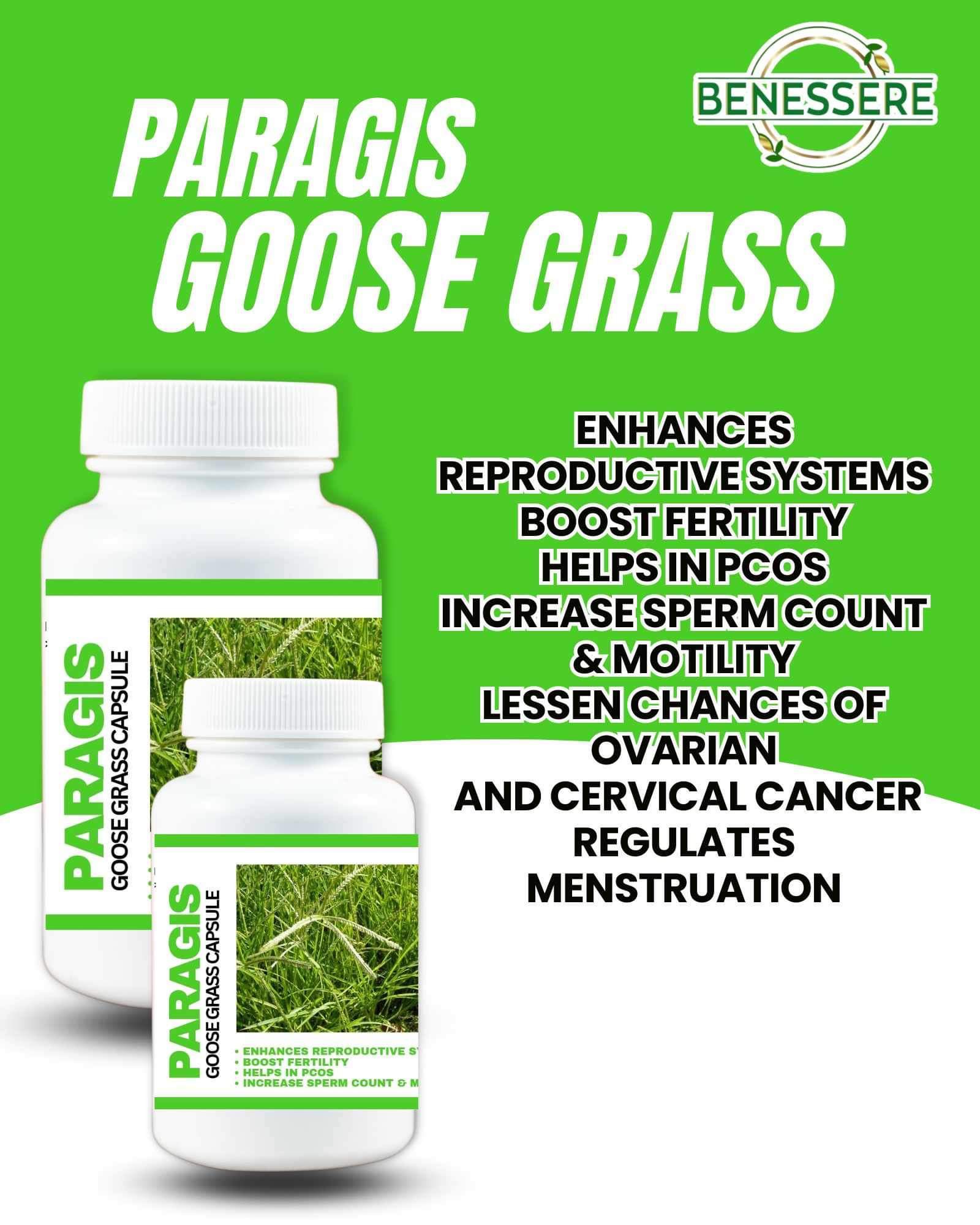 Benessere International Corp